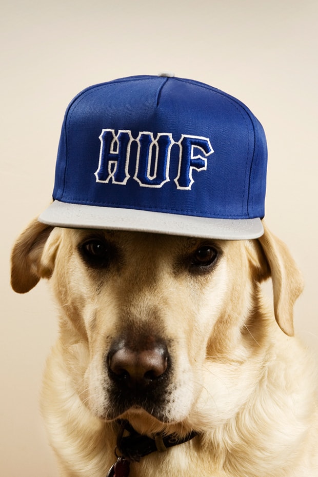 The Chimp Store: “Chimptown Dogs” Editorial | Hypebeast