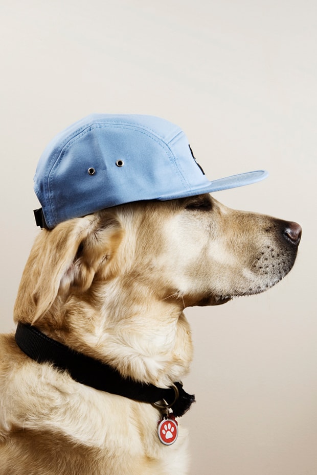 The Chimp Store: “Chimptown Dogs” Editorial | Hypebeast