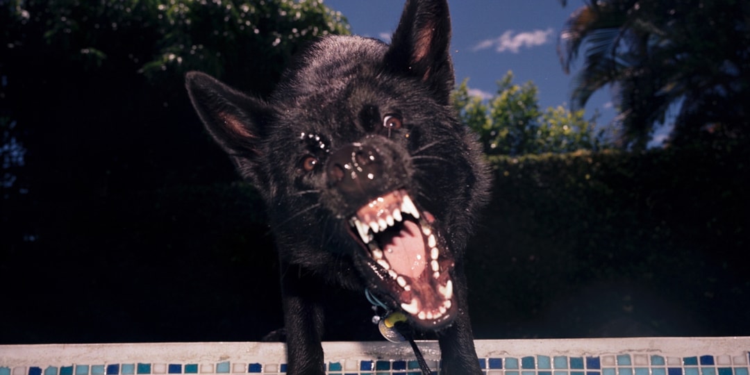 Pomegranate Press 十周年群展《Breathless in Glowing Air》：定格稍縱即逝的瑰麗瞬間 | Hypebeast