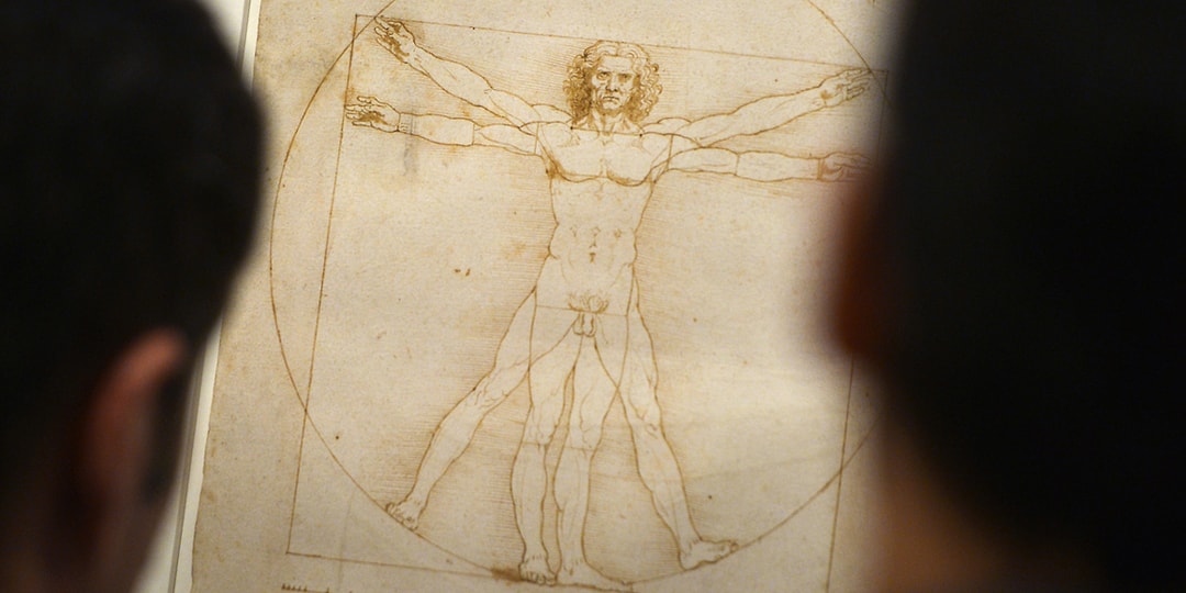 Leonardo da Vinci 'Vitruvian Man' Drawing Louvre | Hypeart
