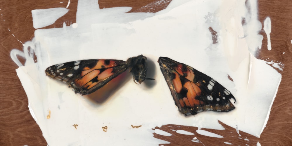 Thinkspace x POW! WOW! Hawaii 2020 Exhibition | Hypebeast