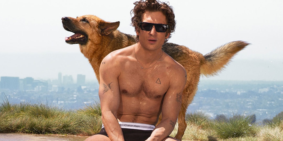Jeremy Allen White Scores Another Calvin Klein Campaign | Hypebeast