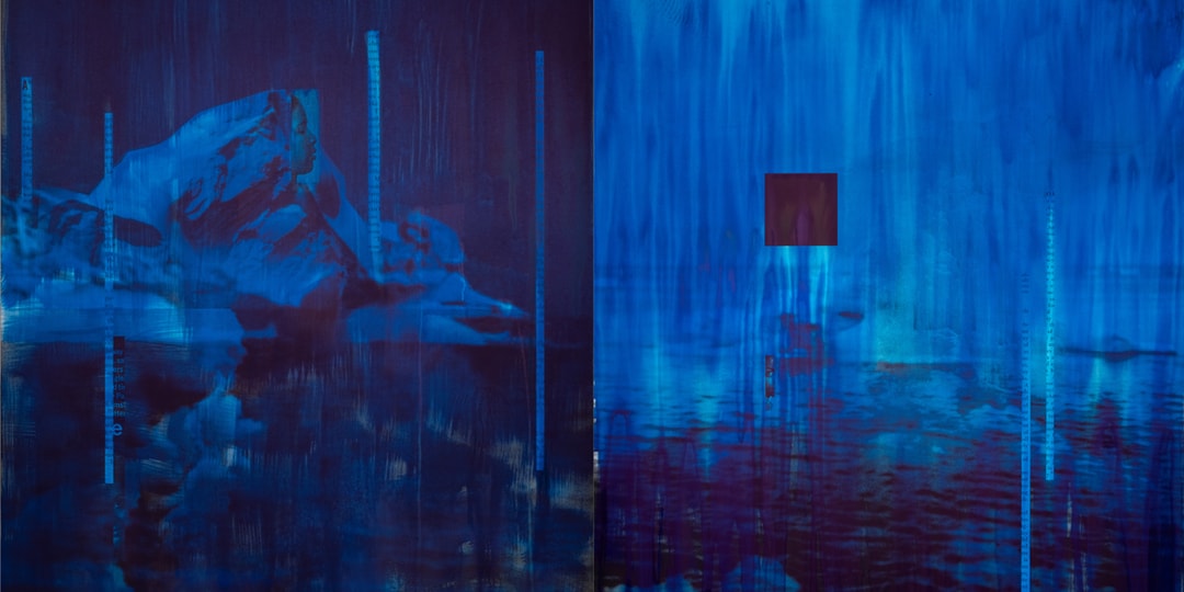 Lorna Simpson: Source Notes Opens at Met Museum | Hypebeast