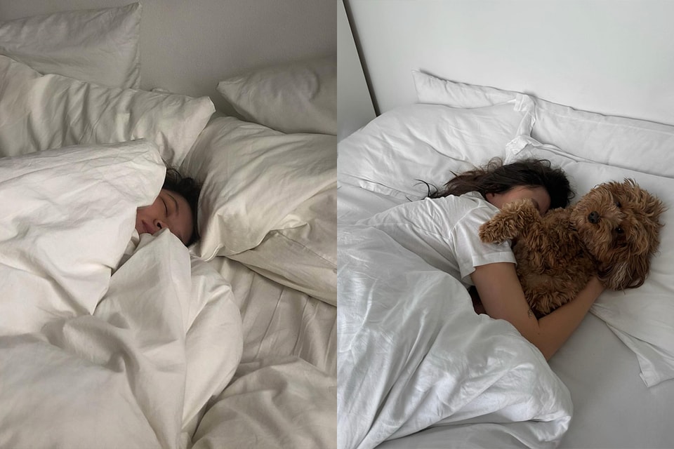 LUSH 鎂鹽餅被網友譽為「能讓人一秒入睡」，在 Threads 爆紅且全台售罄 - POPBEE