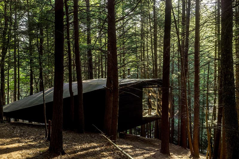 Half-Tree House by JacobsChang Architecture | HYPEBEAST