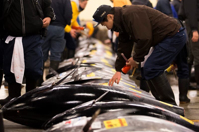 Tsukiji Fish Market Record Tuna Auction Price | Hypebeast