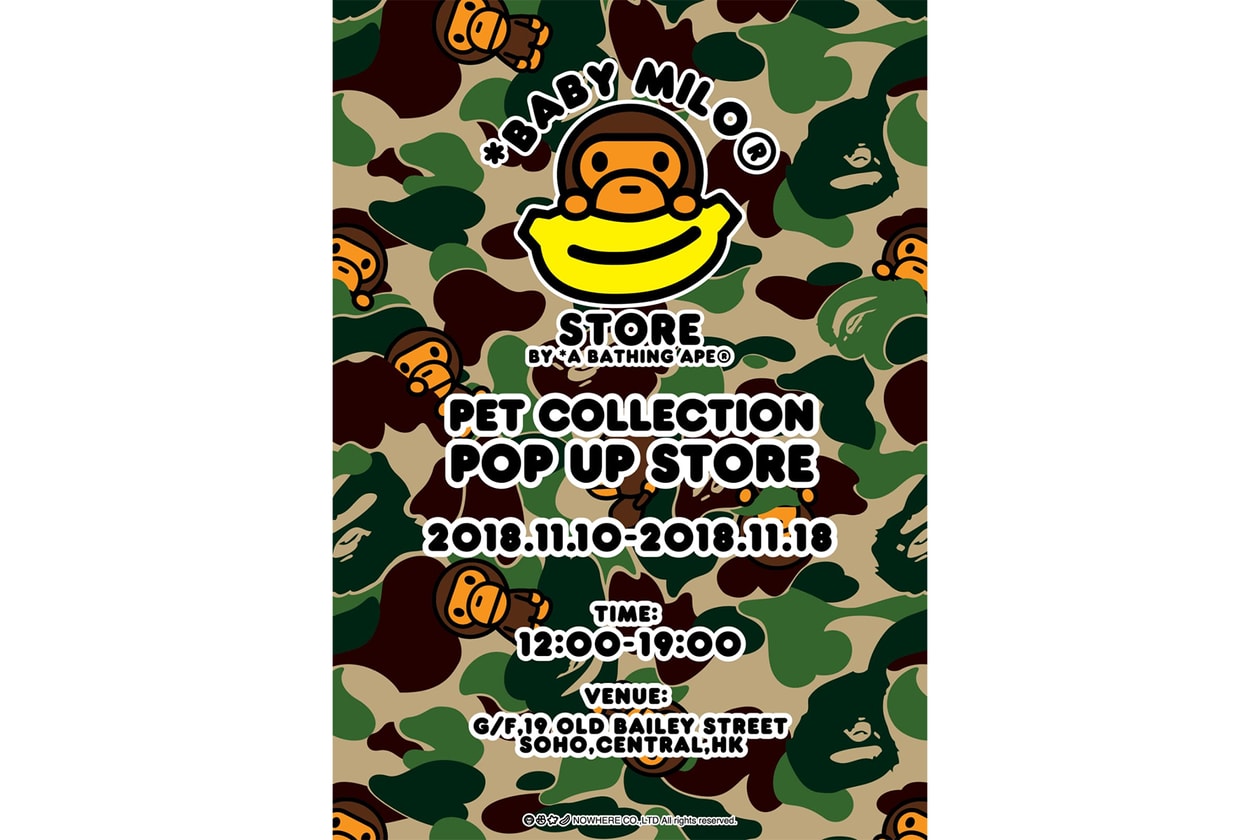 BAPE's Baby Milo Has Unveiled a Pet Collection | Hypebae