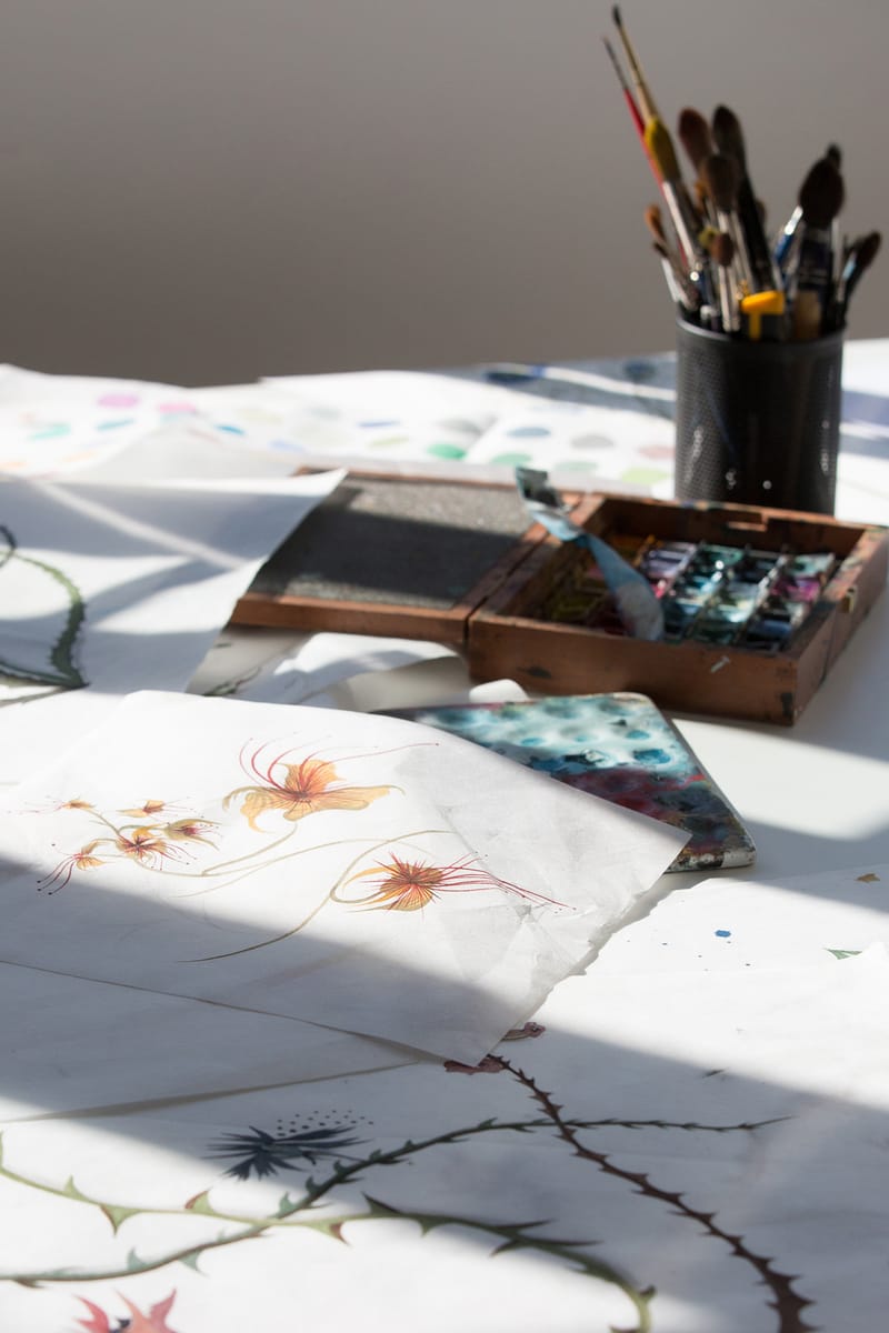 Dior Spring/Summer 2020 Floral Patterns Video | Hypebae