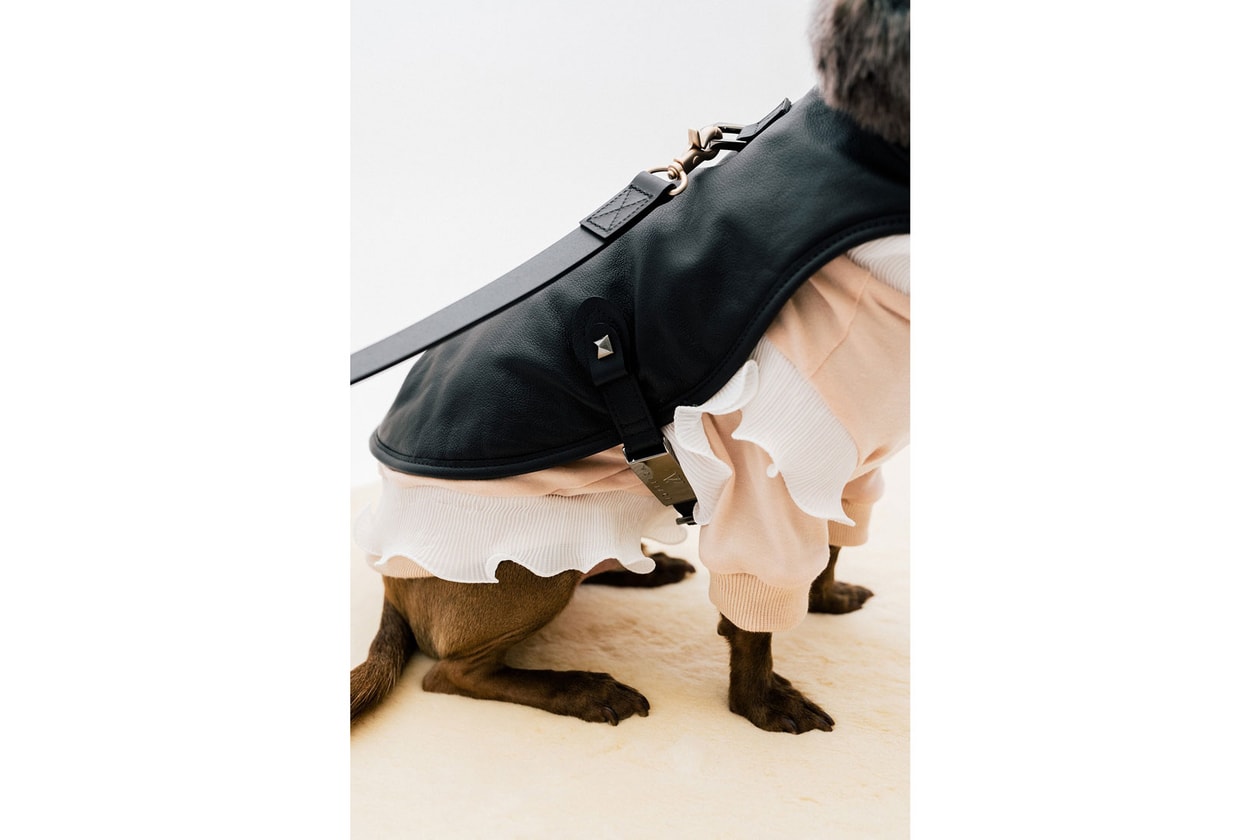 The 10 Best Dog Clothing and Accessory Brands | Hypebae