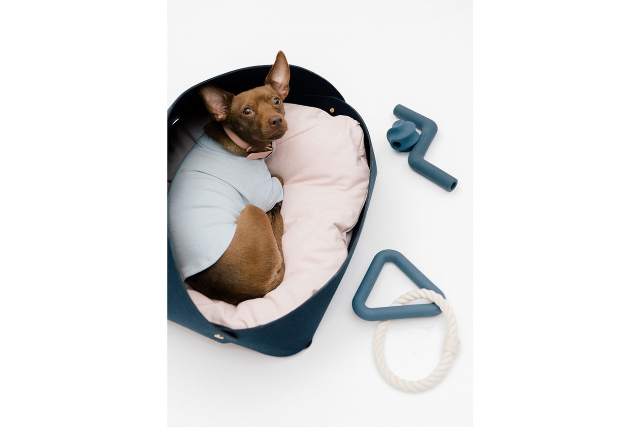 The 10 Best Dog Clothing and Accessory Brands | Hypebae