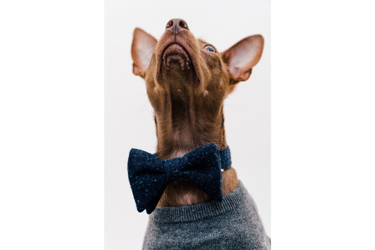 The 10 Best Dog Clothing and Accessory Brands | Hypebae