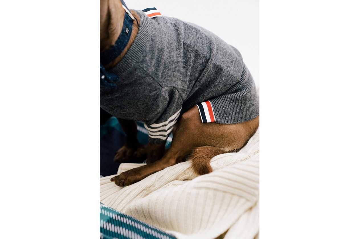 The 10 Best Dog Clothing and Accessory Brands | Hypebae