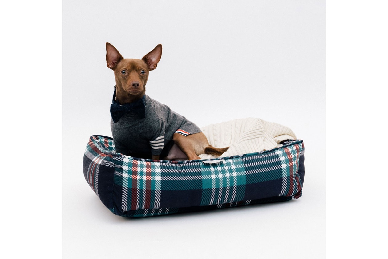 The 10 Best Dog Clothing and Accessory Brands | Hypebae
