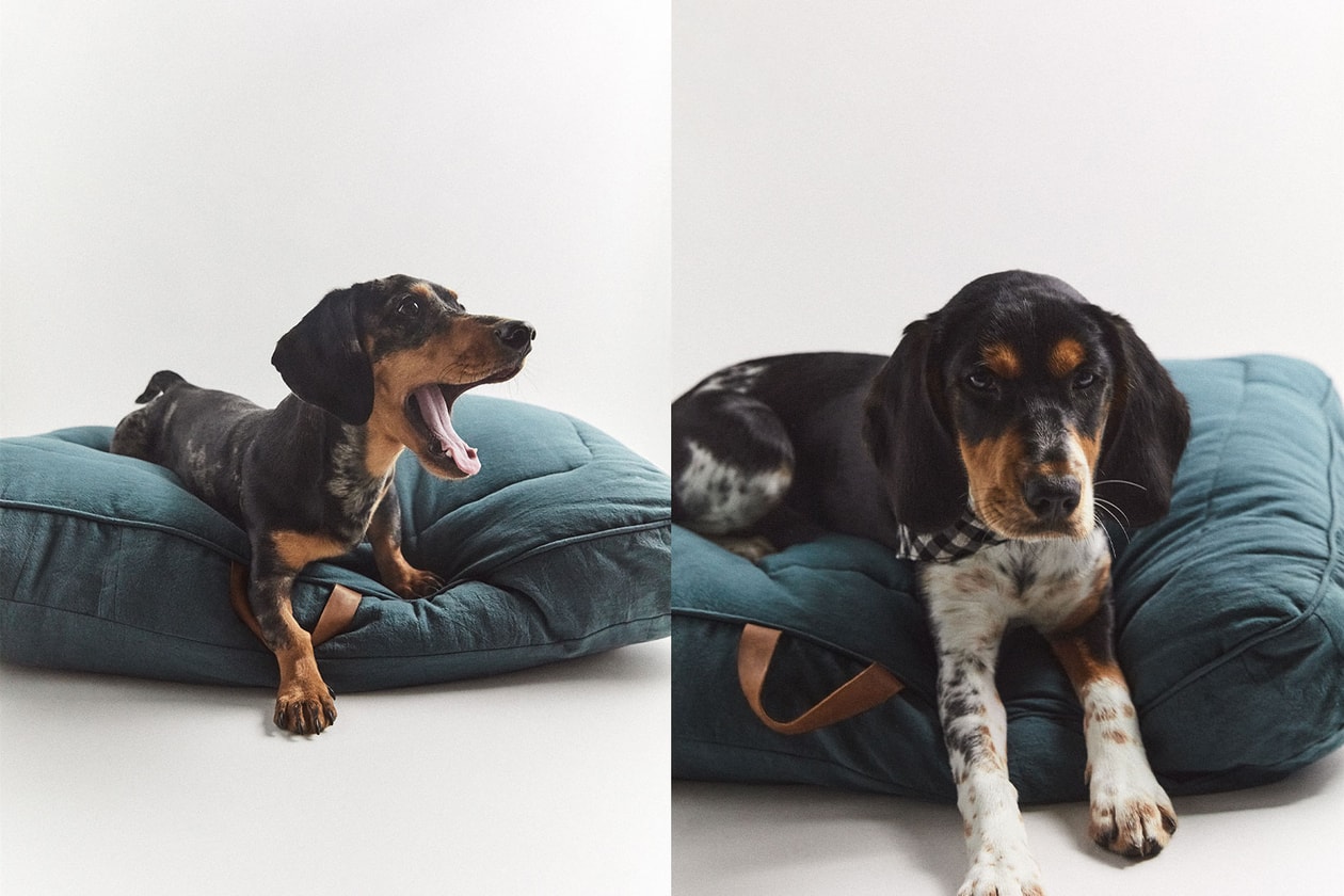 Zara Launches Pet Toys, Clothes, Accessories | Hypebae