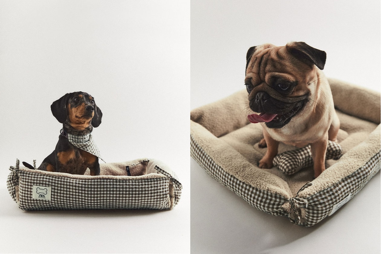 Zara Launches Pet Toys, Clothes, Accessories | Hypebae