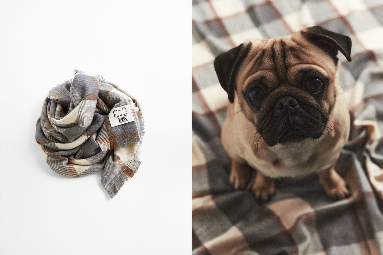 Zara Launches Pet Toys, Clothes, Accessories | Hypebae