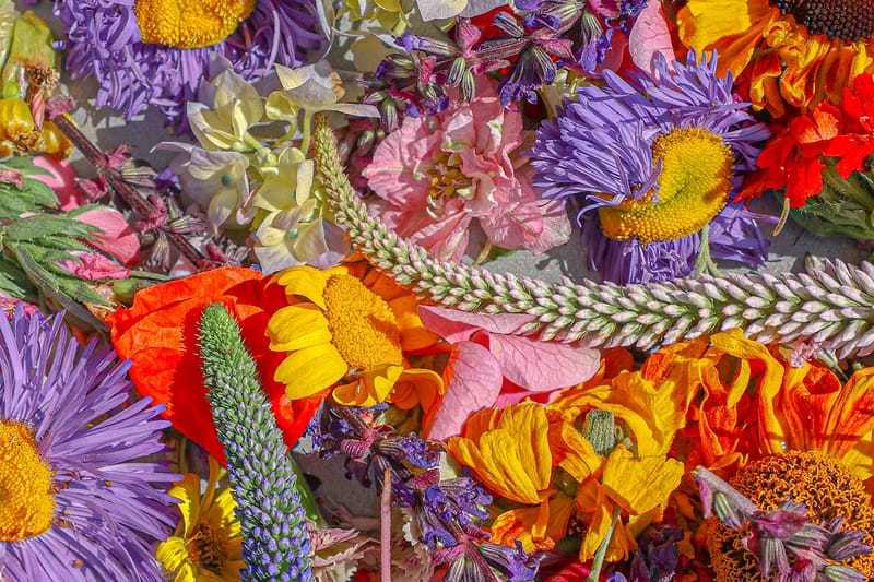 Best Fashion NFT, Web3 Projects of March 2023 | Hypebae