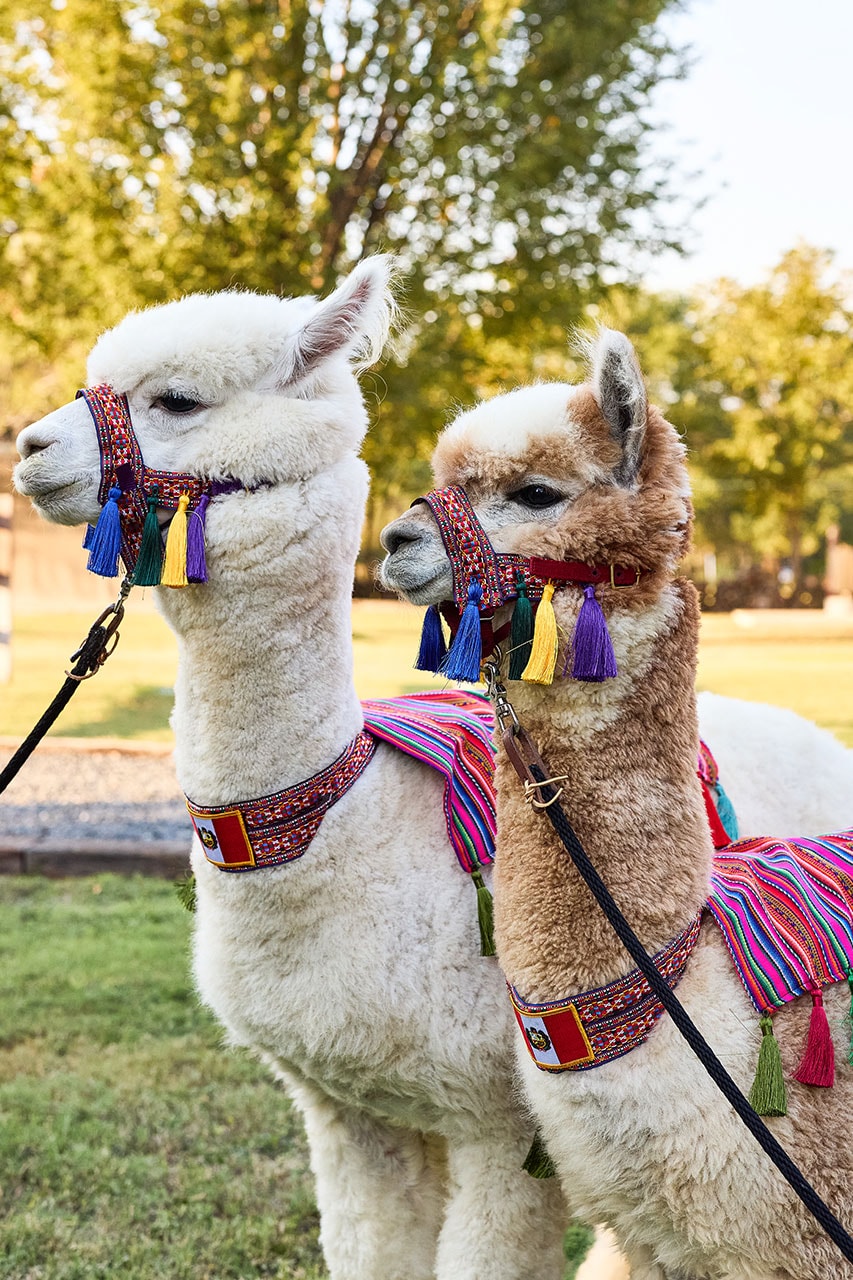 Meet Award-Winning Peruvian Chef: Valerie Chang | Hypebae