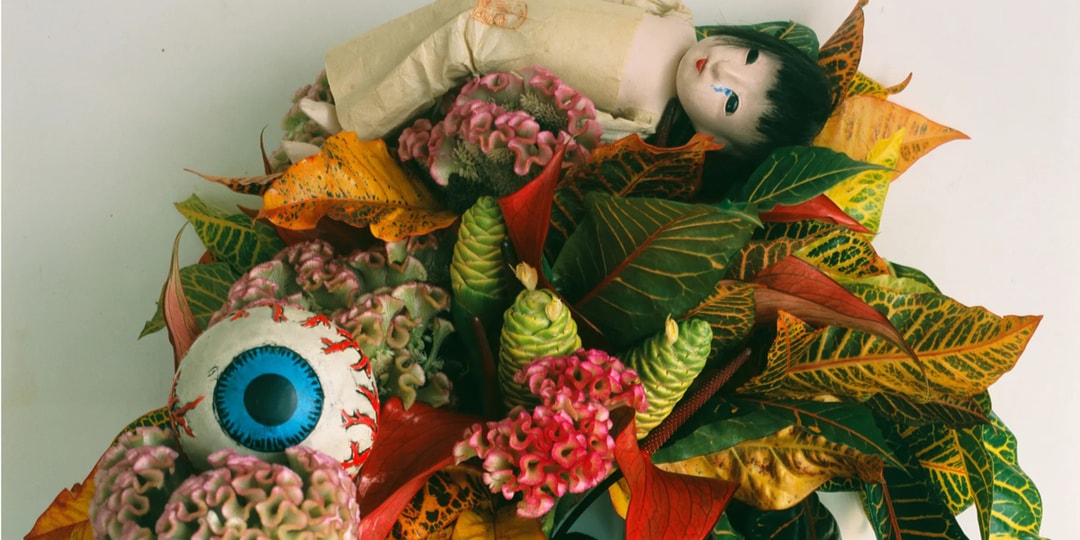 Roe Ethridge e Nobuyoshi Araki em Nova York: naturezas-mortas ...