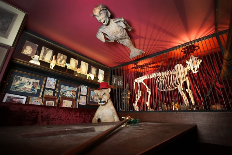 International Museum Day special, see these weird museums in the world ...