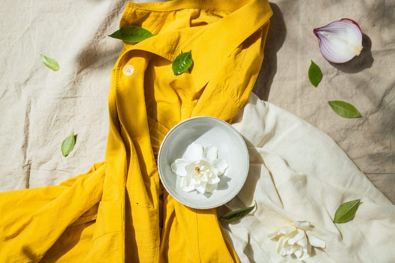 SYNDRO 2020 春夏「To Solomon」系列正式發佈 | Hypebeast