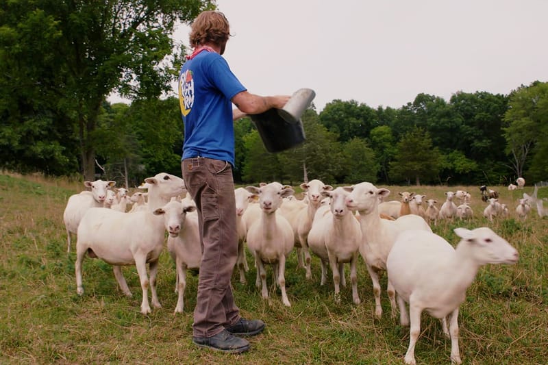 Sky High Farm Universe 如何将农场、时装、艺术、食物主权有机融合？ | Hypebeast