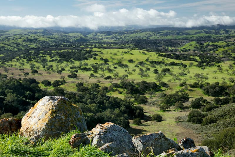 Michael Jackson Neverland Ranch Sycamore Valley Ranch | Hypebeast