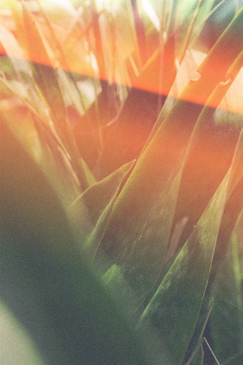 Levis 全新功能 COOL 系列正式登場 | Hypebeast