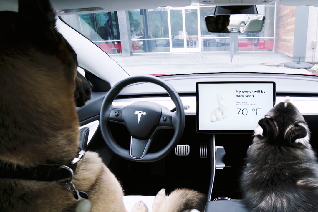 Tesla 發佈「狗狗模式」讓心愛寵物安全獨留車中 | Hypebeast