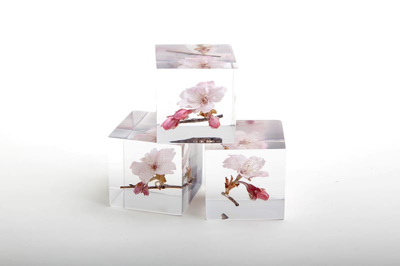 日本花卉大師 Azuma Makoto 創作永不凋谢之藝術擺設「Block Flowers」 | Hypebeast