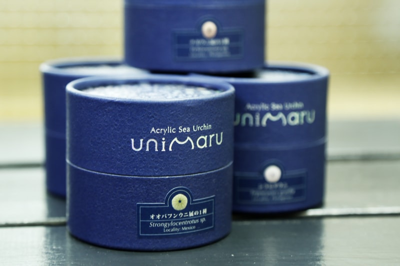 海洋之心・Usagi No Nedoko 帶來稀有海膽藝術擺設「UNIMARU」 | Hypebeast