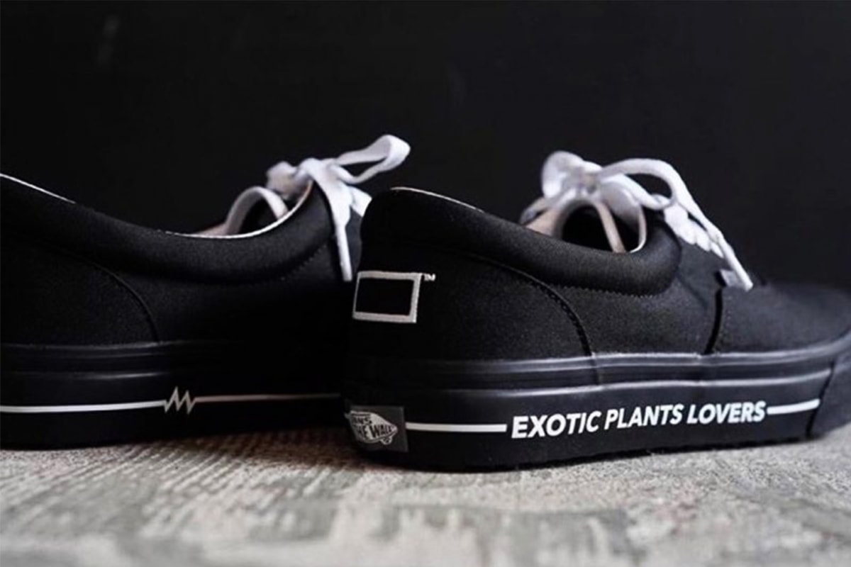 BOTANIZE x Vans Japan 「Exotic Plant Lovers」聯名鞋作 | Hypebeast