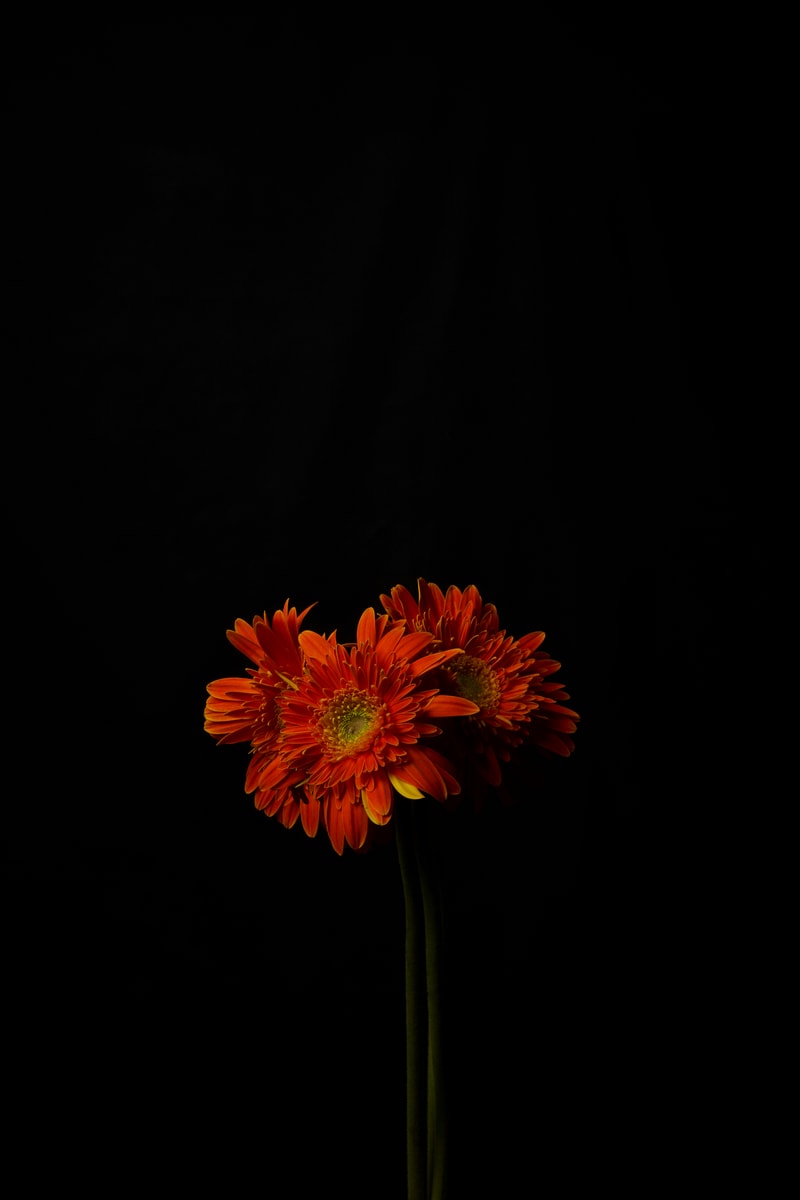 做真實的自己－Heidi 李靜儀迎來「朝花夕拾⁣」BTTY 相展 | Hypebeast