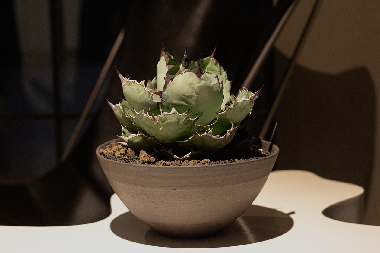 台灣新興植物單位 0343 CONSERVATORY 獨家分享種植入門教學 | Hypebeast