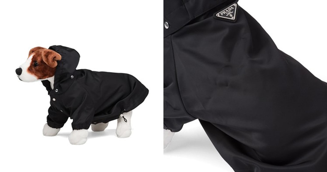 Prada 推出要價 $520 美元寵物犬用雨衣 | Hypebeast