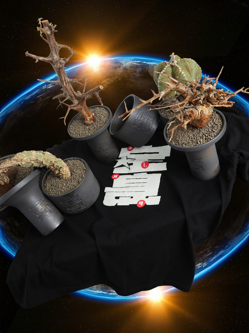 0343 CONSERVATORY x PLATEAU STUDIO 最新聯名企劃正式公開 | Hypebeast