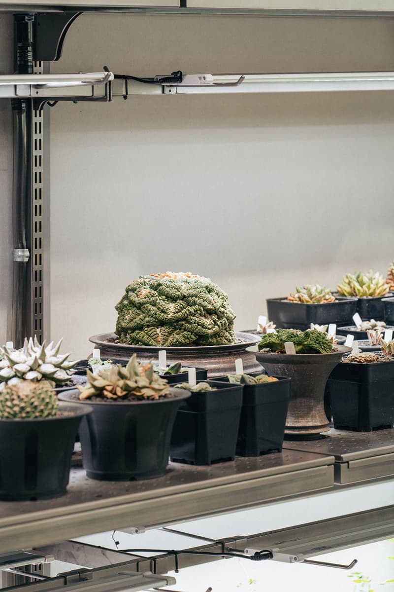 0343 CONSERVATORY 正式進軍台南開設首間南部旗艦店舖 | Hypebeast