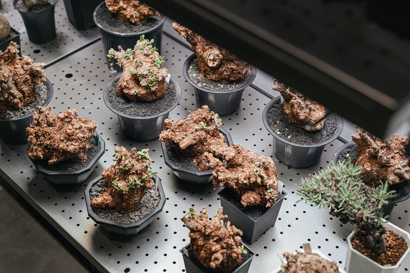 0343 CONSERVATORY 正式進軍台南開設首間南部旗艦店舖 | Hypebeast