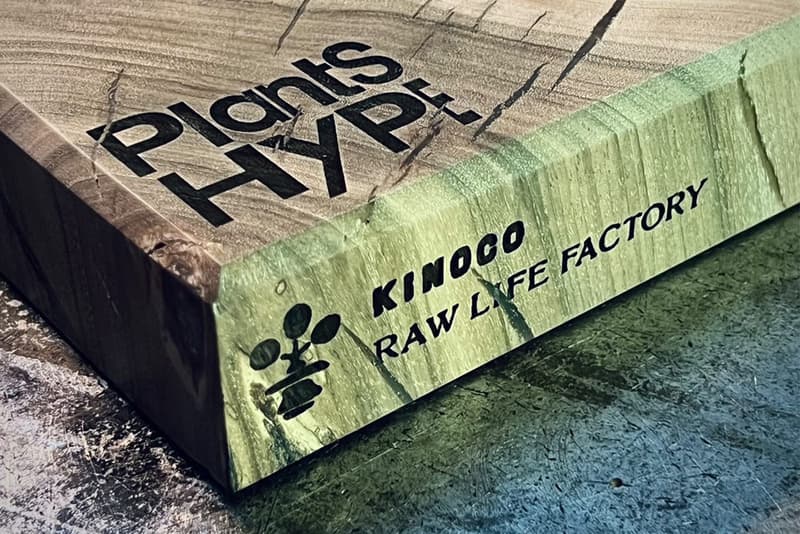 台日植栽文化連線！獨家走進 PLANTS HYPE x KINOCO x Raw Life Factory 三方聯展 | Hypebeast