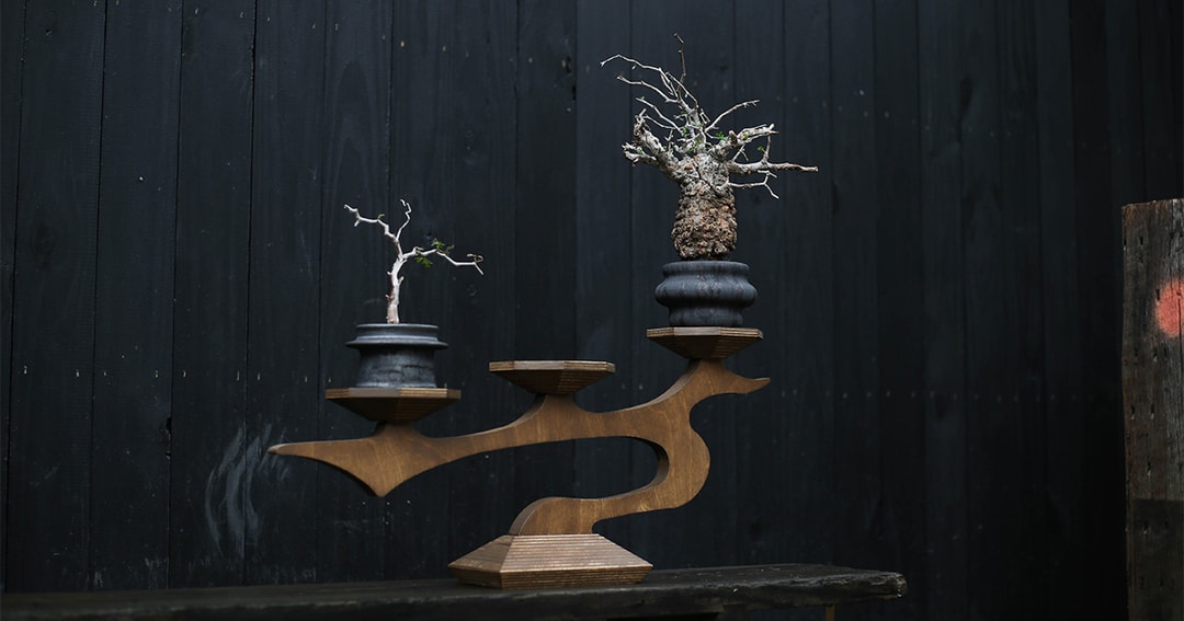 zed objects x 0343 CONSERVATORY 全新木製盆栽架「zyra」正式登場 | Hypebeast
