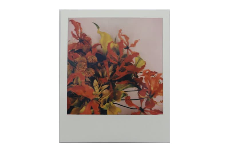 Artelli 呈獻日本攝影巨匠荒木經惟最新展覽「樂園‧花間」正式登陸香港 | Hypebeast