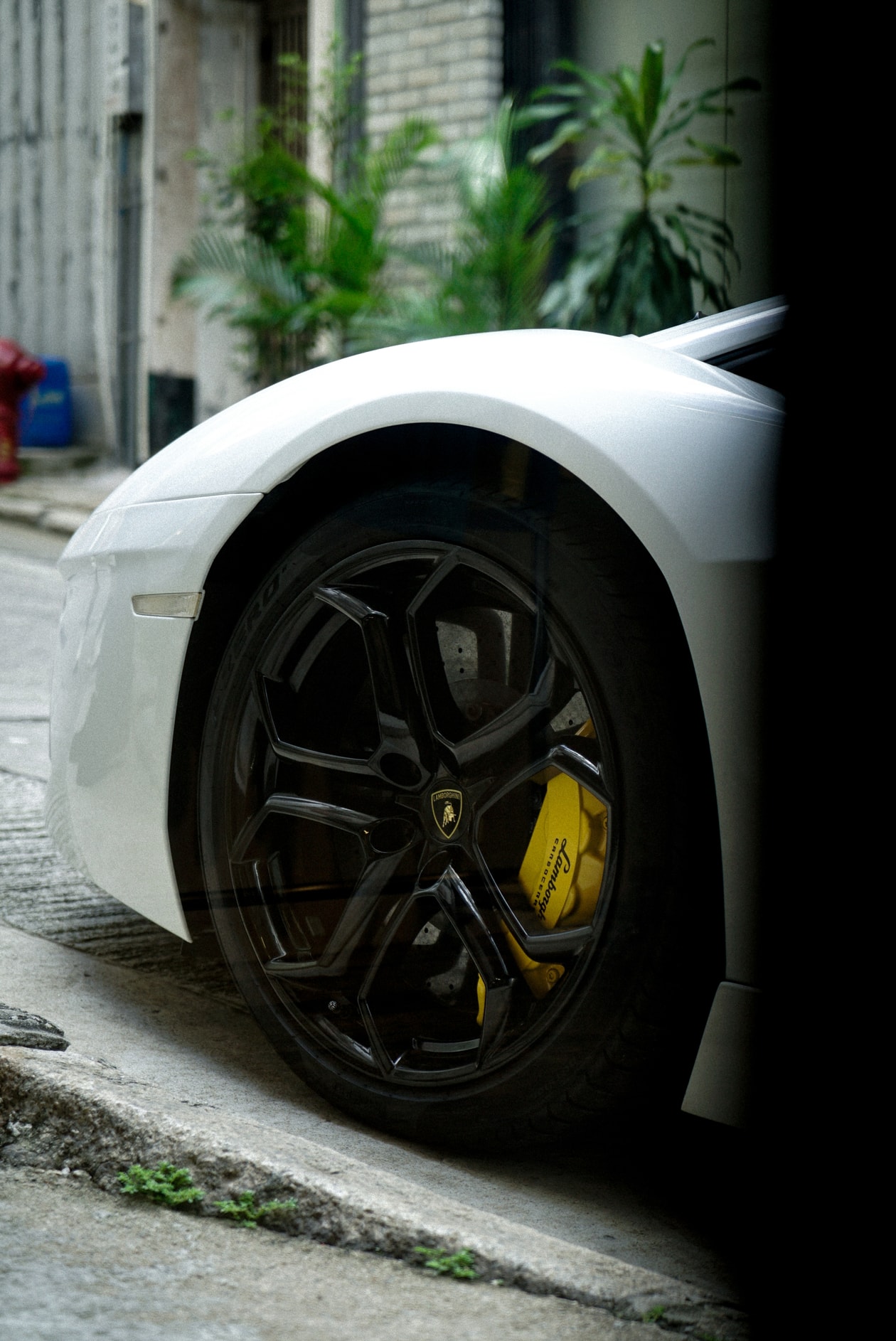 DRIVERS: FIBER PRODUCTIONS 主理人 Kurtis 與愛驅 Lamborghini Aventador LP 700 ...