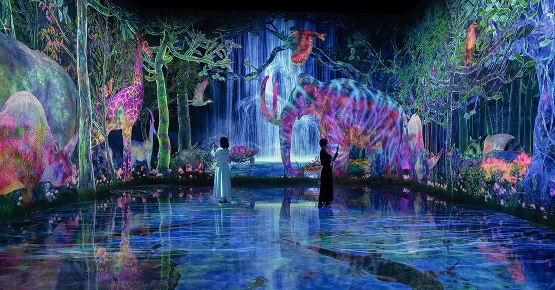 擴大 1.5 倍！teamLab Planets TOKYO 推出全新互動體驗設施 | Hypebeast