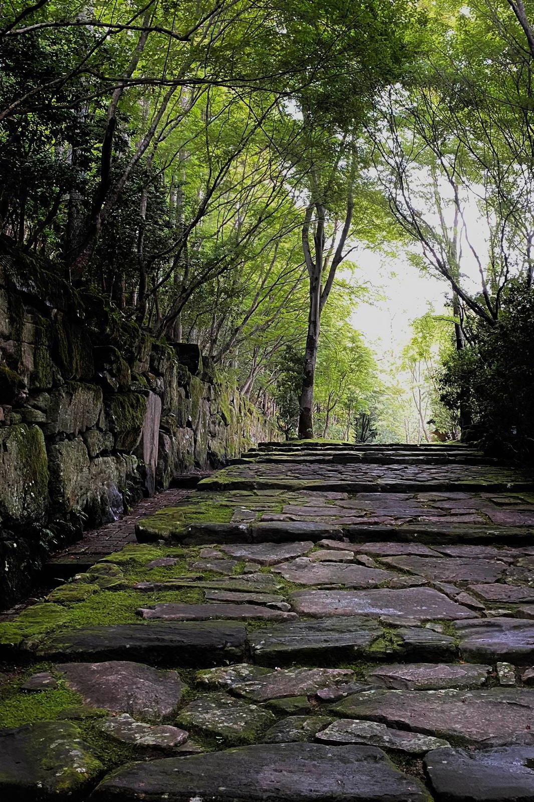 三十而立．三吉彩花攝影創作紀實 #3「GREEN」 | Hypebeast