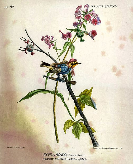 Andrew Brandou x Dr. Romanelli x MHI Surgical Strike Collection | Hypebeast