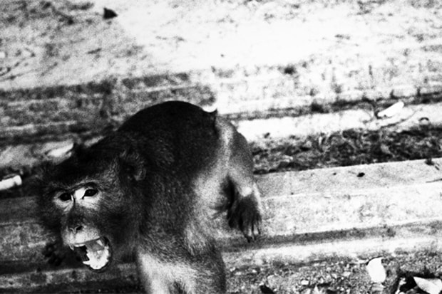 "The Mandalay Express" - Photography by Brian Kelley | Hypebeast