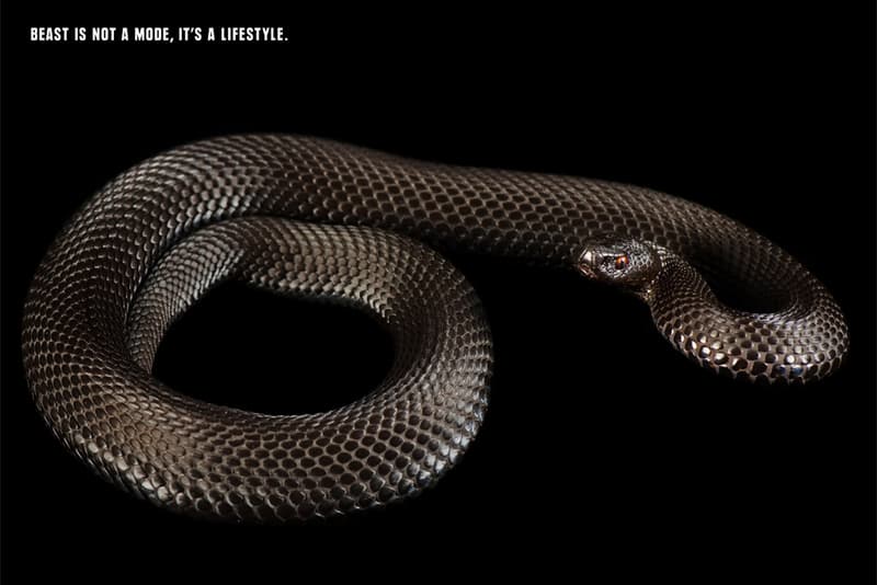 A Look Inside the Nike Kobe System | Hypebeast