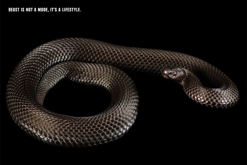 A Look Inside the Nike Kobe System | Hypebeast