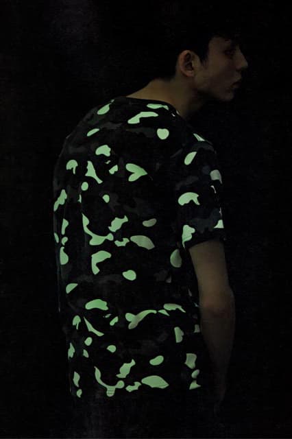 A Bathing Ape 2014 Spring/Summer e-MOOK Lookbook | Hypebeast