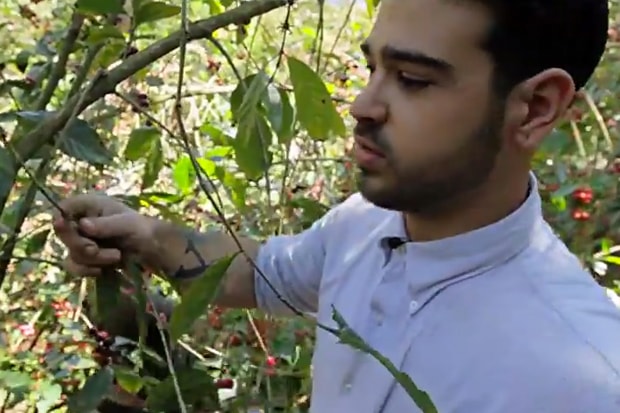 CAFFEINATION Presents: How to Source Coffee | Hypebeast